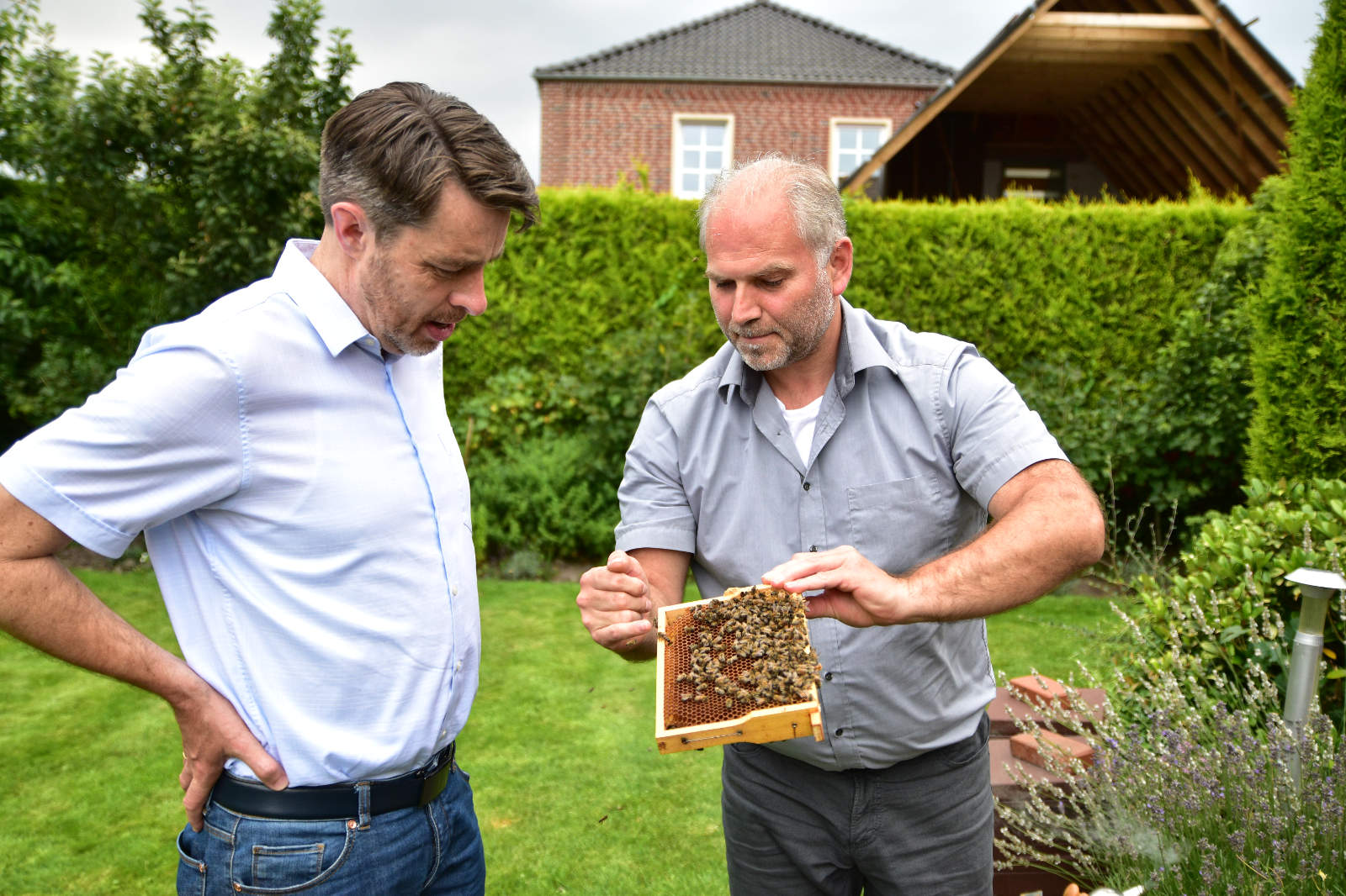 August 2021 – Imkerverein Norden